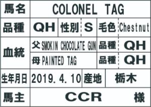 馬たち(test) – カナディアンキャンプ乗馬クラブ 九州